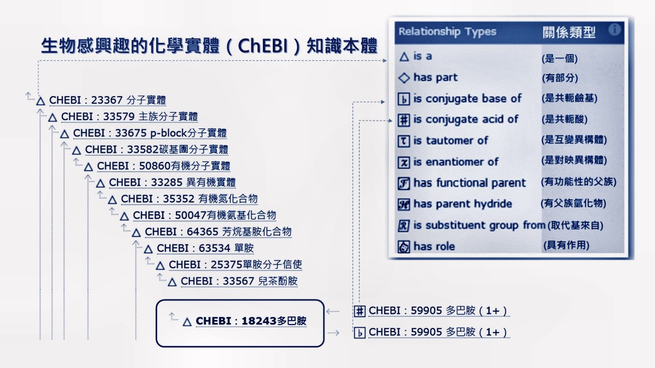 多變多巴胺——第一部：ChEBI:18243 - CASE 報科學