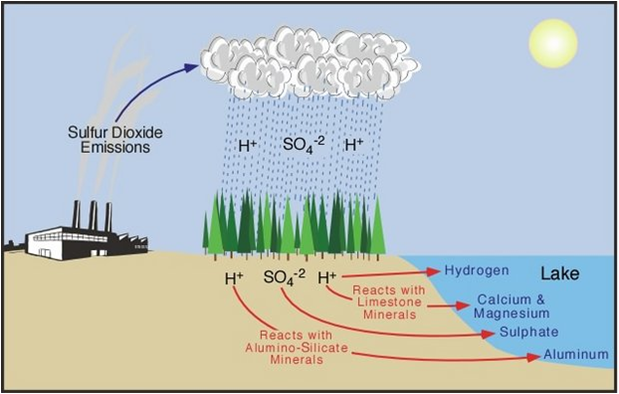 acid rain | 科學Online