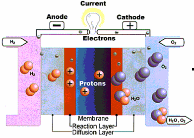 燃料電池 | 科學Online