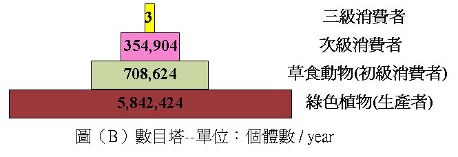 生態塔(Ecological Pyramids)-上 | 科學Online