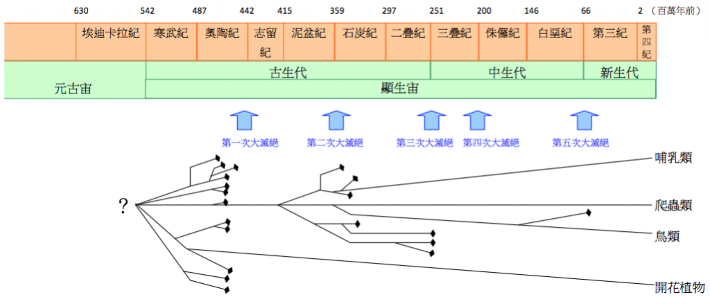 寒武紀大爆發 | 科學Online