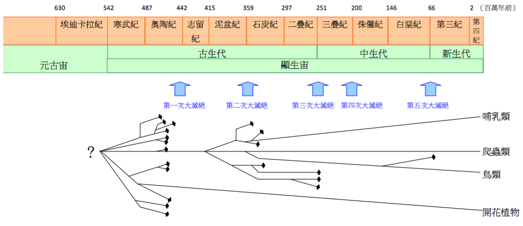 寒武紀大爆發 | 科學Online